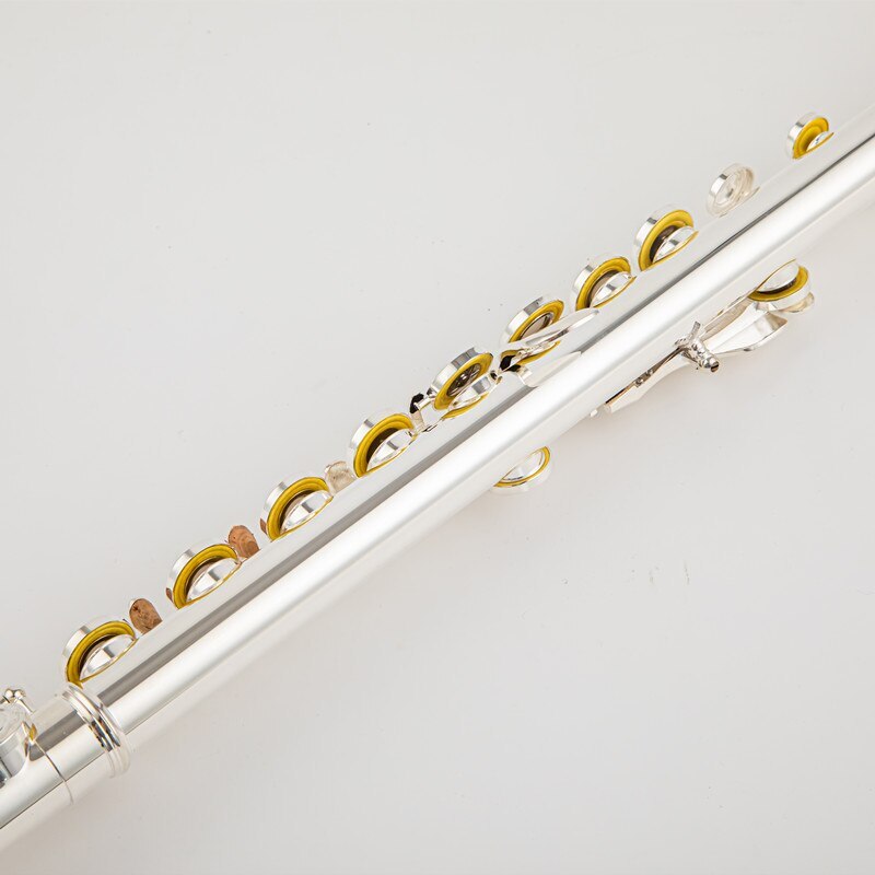 Flute Silver Plated 17 Keys Flute Open Hole E-Mech Flute Musical ...