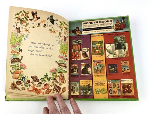 This Magic World Cynthia Koehler Wonder Books Vintage Childrens Book ...