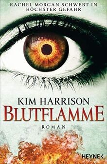 Blutflamme: Die Rachel-Morgan-Serie 16 - Roman von H... | Buch | Zustand wie neu 9783453321069| eBay