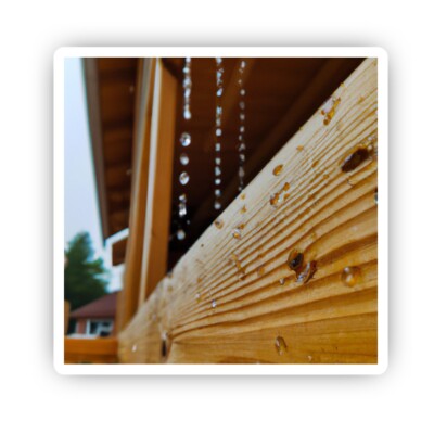 Japanese Japan Rainy Day Rain Season Water Drop Vinyl Decal Sticker ...