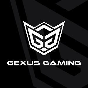 Gexus Gaming | eBay Stores