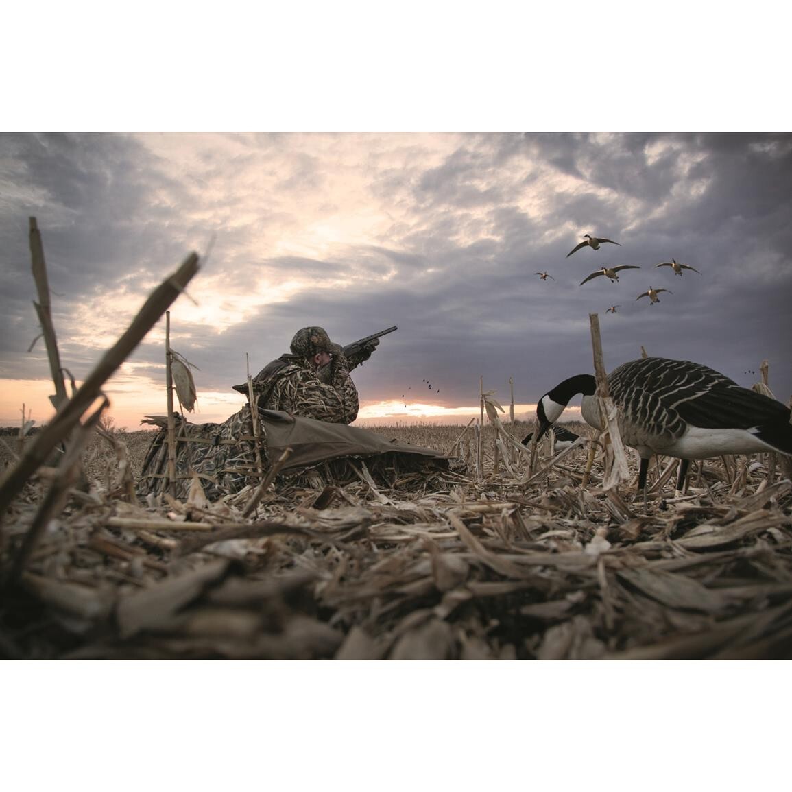 Waterfowl Hunting Layout Blind Duck Geese Mossy Blades Field Max Camo ...