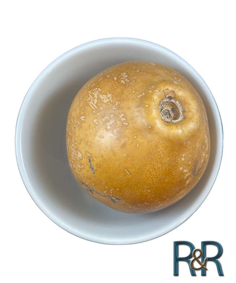 Traditional Mexican Guaje Cirial PROMOCIÓN Organic Whole Free Ship ...