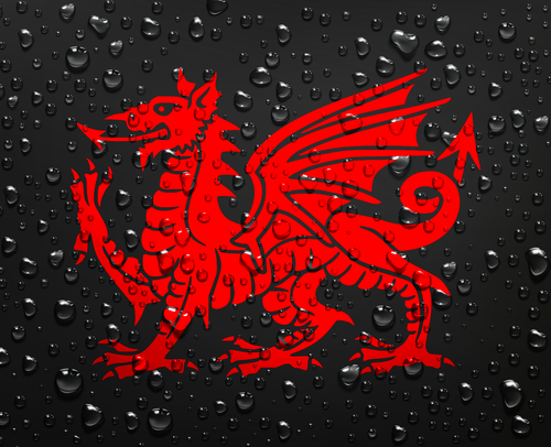 Welsh Dragon Cymru Welshman Wales Flag Vinyl Decal Car Van Sticker Red ...