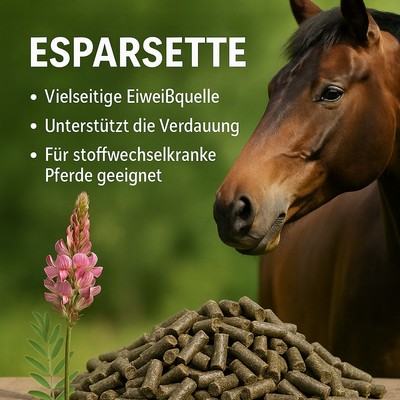 Esparsette pelletiert 20 kg – Pferdefutter – Raufutter - Cobs ...