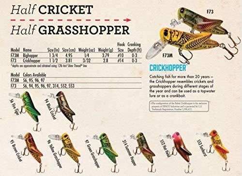Rebel Lures Crickhopper Cricket / Grasshopper Crankbait Fishing Lure, 1 ...