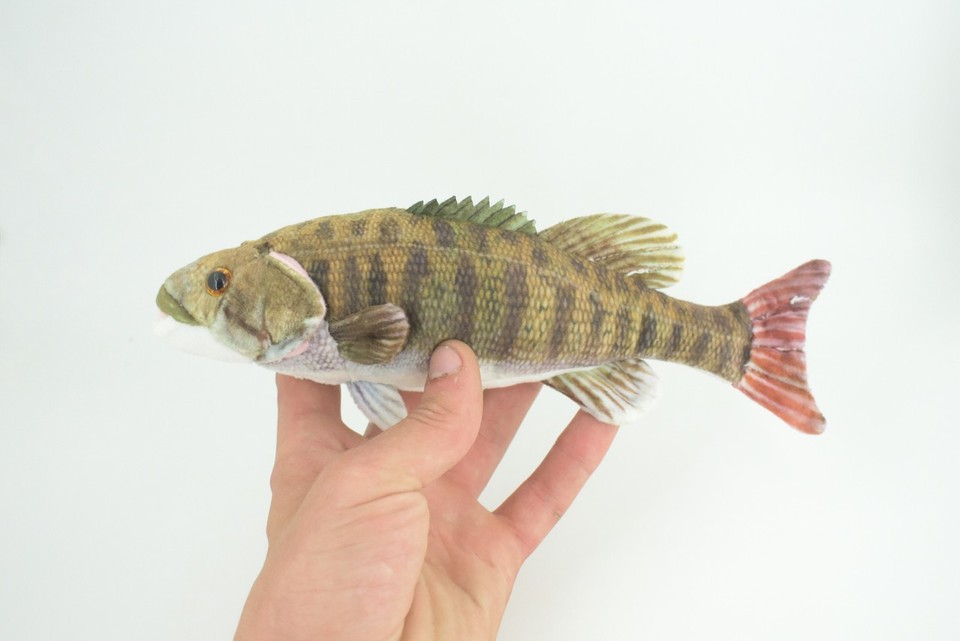 Smallmouth Bass, Realistic Stuffed Plush Fish Toy, Gift, 10 Inches ...