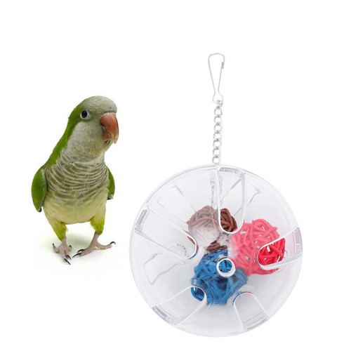 Portable Parrot Foraging Box Plastic Feeder Educational Bird Toy Random ...