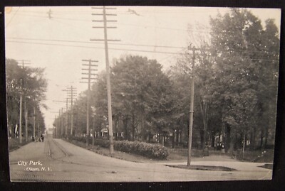 NY Olean City Park Vintage Postcard | eBay