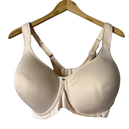 BREEZIES Floral Stripe Seamless Wirefree T-Shirt Bra Champagne 44D | eBay
