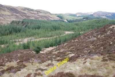 Photo 6x4 Inverliever Forest Ford/NM8603 View from the slope of Cnoc ...