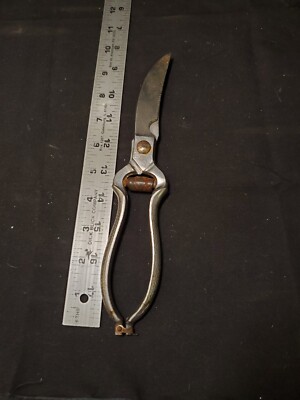 Vintage poultry chicken scissors Made in Italy Marked Italy Stainless ...