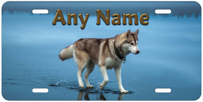 Siberian Husky Any Name Personalized Novelty Car License Plate | eBay