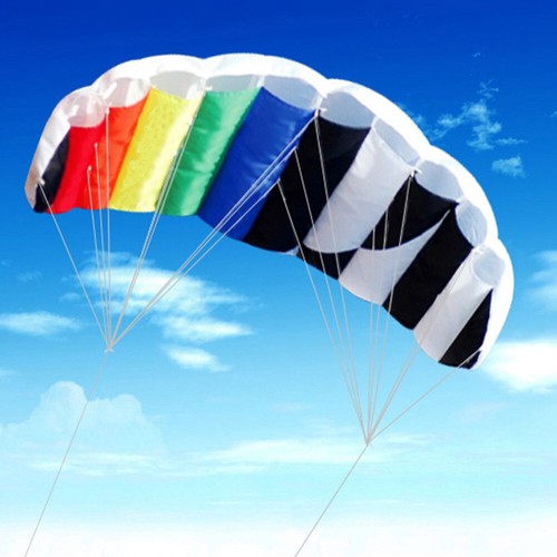 1.4m Dual Line Kite with 2 Handle Parafoil Kite Plaid Fabric Material ...
