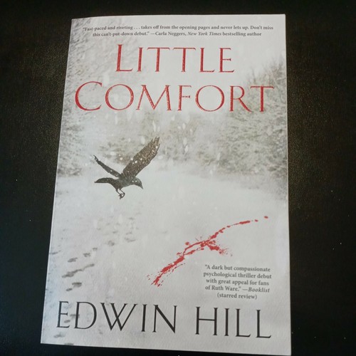 Paperback Book Little Comfort by Edwin Hill New | eBay