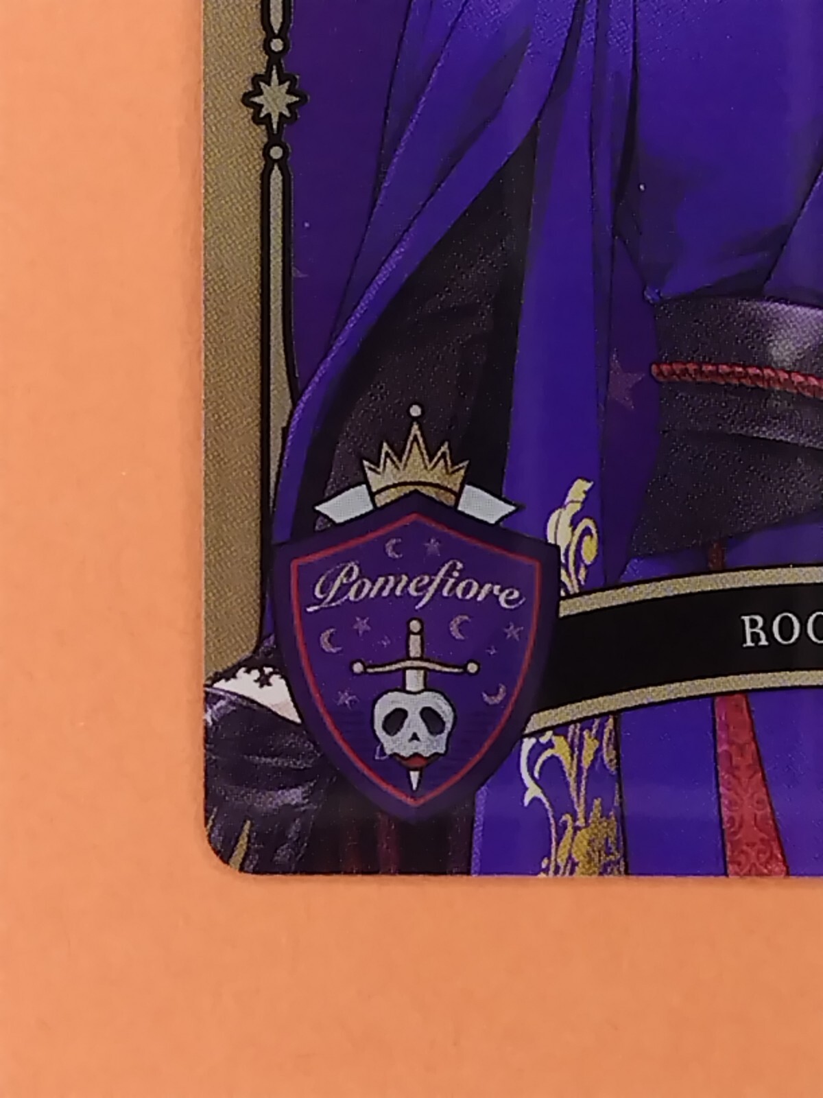 Rook Hunt Disney Twisted Wonderland Pomefiore Plastic Cards Japan ...