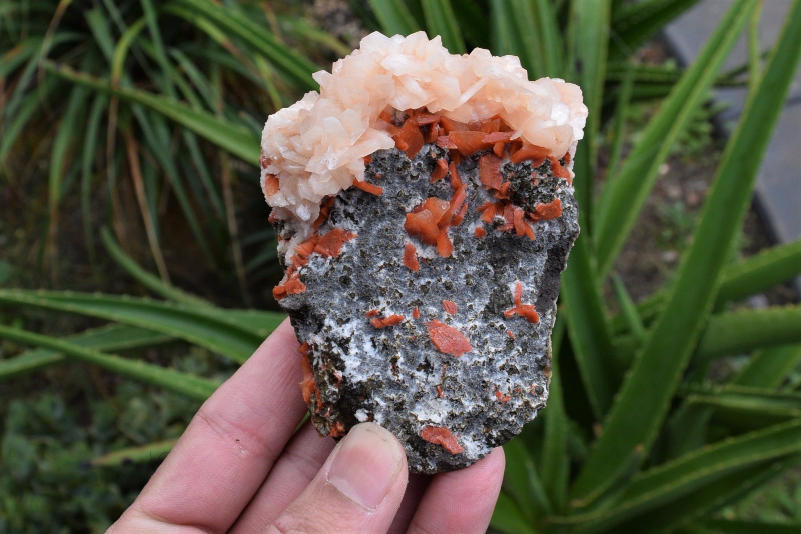 Red Heulandite with Stilbite on Matrix Zeolite Mineral/Crystal/Rock,No ...