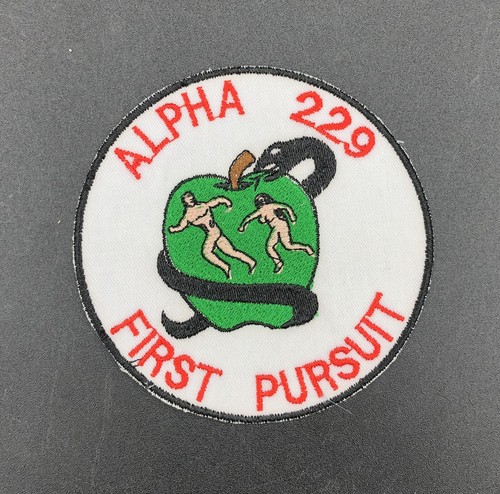 US Army A Co 229th Attack Helicopter REGT First Pursuit Aviation Patch ...