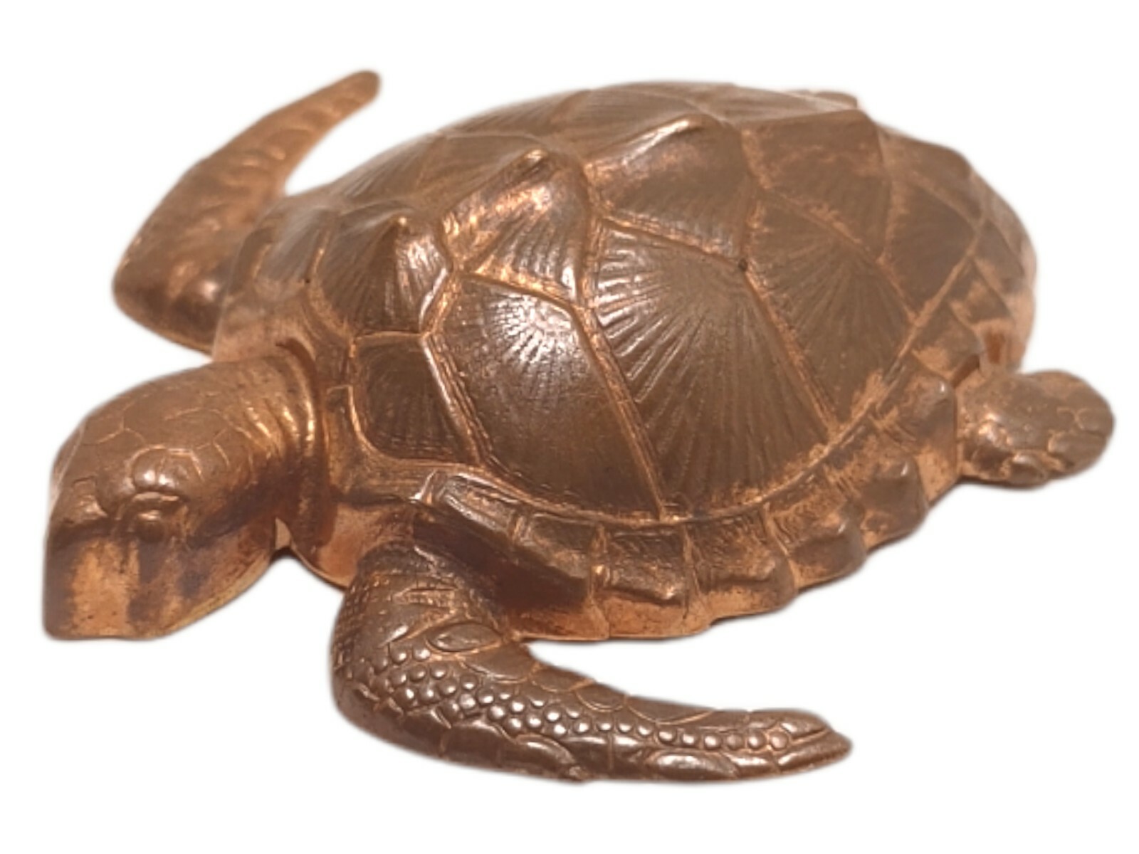 Antique Victorian Turtle Relief Stamping - Gem