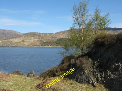 Photo 6x4 Birch tree by the shore of Loch Ailort Inverailort Looking ...