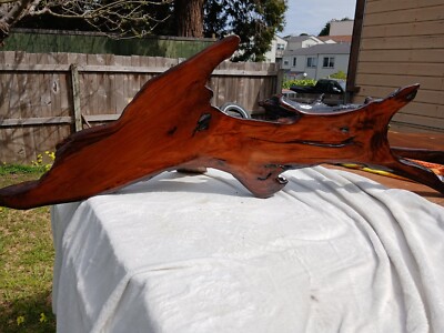 Redwood (Fish Shaped) Burl | eBay