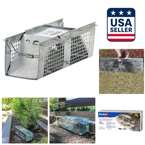 Weather-Resistant X-Small Humane Trap – Perfect for Capturing Small ...