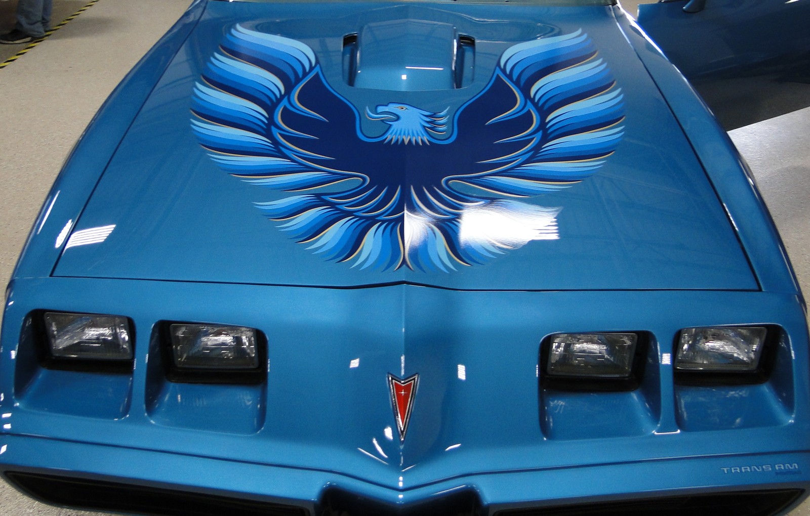 1978-1980 Pontiac Firebird Trans Am Decals Kit with Hood Bird ...