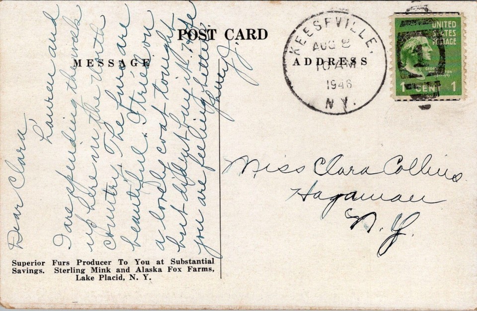 Postcard The Rare White Racoon; Sterling Mink & Alaska Silver Fox Farms ...