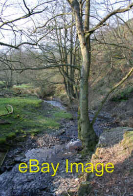 Photo 6x4 Cynllaith stream in woodland Cefn Canol/SJ2331 A small band ...