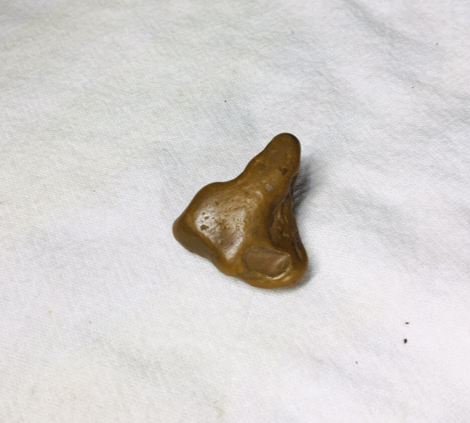 Rare native american Talisman/Amulet-Dragon/Thunderbird/Mastodon/Frog ...