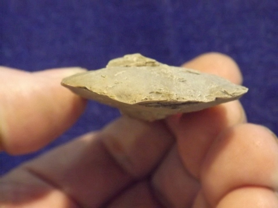 Texas Gouge Celt Tool Arrowhead, Prehistoric Indian Artifact *FREE SHIPPING* TT1 | eBay