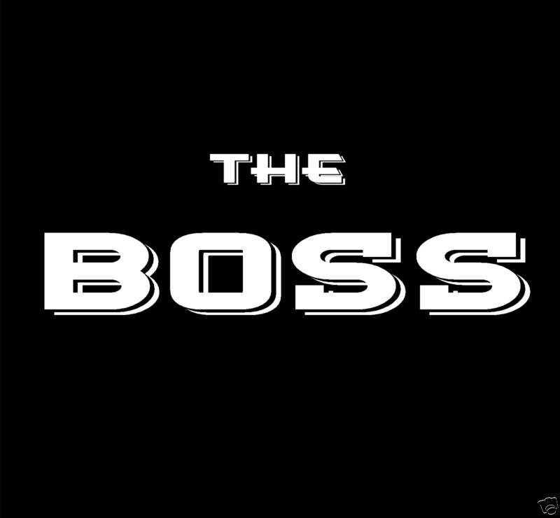Boss Logo Wallpaper