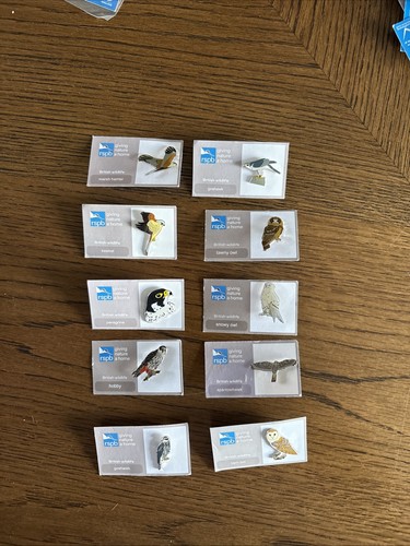 10x RSPB GREY CARD BIRD OF PREY PIN BADGES | eBay UK