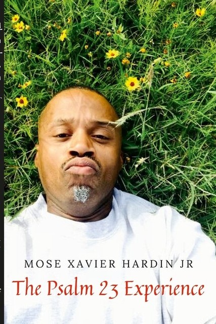 The Psalm 23 Experience by Mose Hardin (2021, Trade Paperback) for sale ...