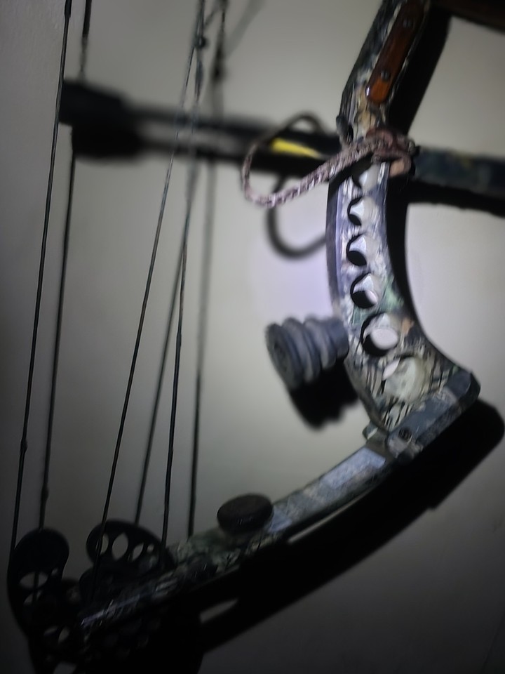 Archery Research | eBay