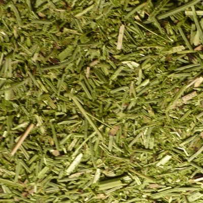 Prêle commune - Equisetum arvense - Herbe à thé séchée à tige VENDEUR ...