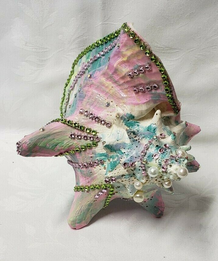 Large Hand Painted Decorated Conch Sea Shell Natural Beach Decor 8" x 6 ...