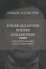 Edgar Allan Poe Poetry Collection: The Raven, Annabel Lee, & Other ...
