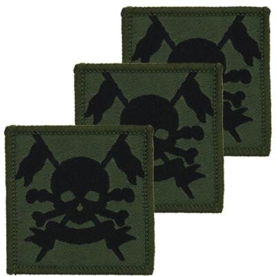 ROYAL LANCERS TRF OLIVE BLACK SUBDUED BRITISH ARMY FLASH PATCH | eBay UK