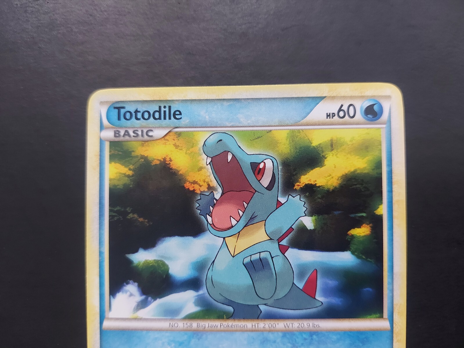 Pokemon - Totodile 74/95 Common Call of Legends | eBay Australia