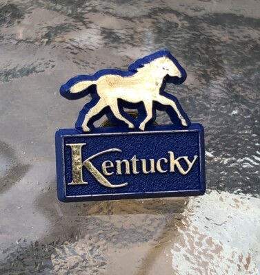Kentucky Derby Horse Collectors Plastic Lapel Pin | eBay