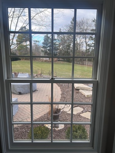 INFINITY BY MARVIN DOUBLE-HUNG WINDOWS - Stone White - 32x72 (1), 42x72 (2) | eBay