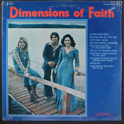 DIMENSIONS OF FAITH: dimensions of faith PHEASANT 12" LP 33 RPM Sealed ...