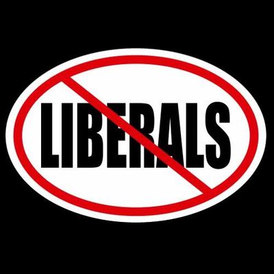 "ANTI LIBERALS" Republican OVAL DECAL bumper sticker, Anti Hillary ...