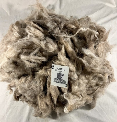 1lb, 2oz Suri Alpaca Long Locks Light Gray Spinning Fiber (ZW53) | eBay