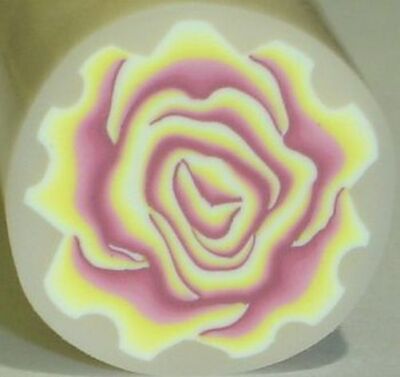 UNLIMITED CANES SHIP FOR $5 - TEXAS YELLOW ROSE FLOWER CANE RAW by SueC ...