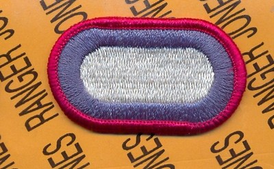 311th LRS MI Military Intelligence Bn Air Assault Airborne para oval ...