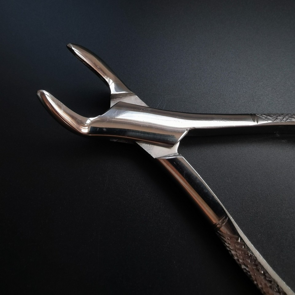 Dental Extracting Forceps # 151 Universal Surgical Tooth Extraction ...