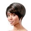 Shrot Straight Black Brown Hair Wigs for Black Women Party Daily Used ...