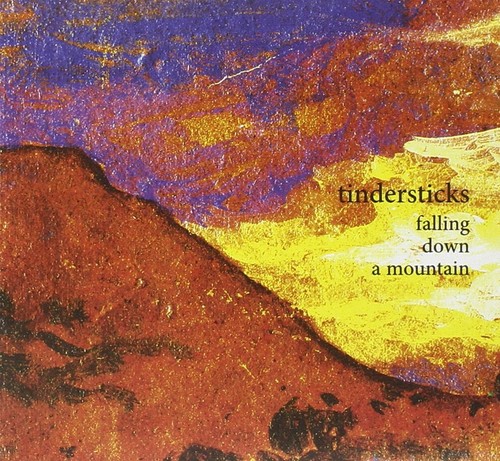 Tindersticks Falling Down a Mountain (CD) (US IMPORT) 666561006525 | eBay Australia